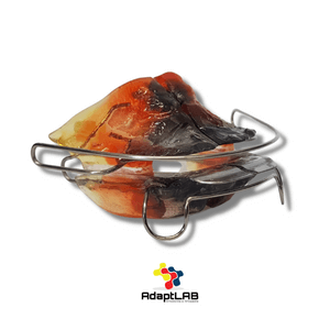 Galeria de Sucesso – AdaptLab